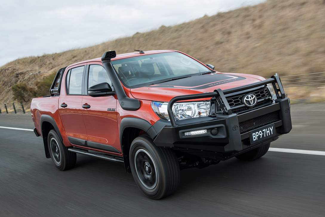 What to Do If You Hit a Kangaroo: Injured Wildlife Advice | CarsGuide