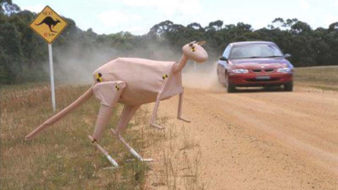 What's up Skip? A car that can avoid a kangaroo - Car News | CarsGuide