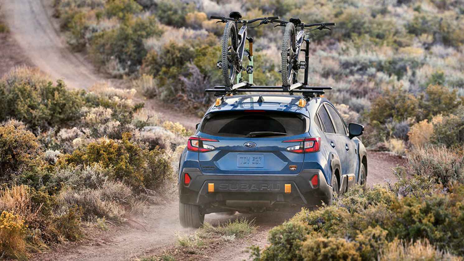 Subaru Wilderness locked in for Australia: Tougher, off-road focused ...