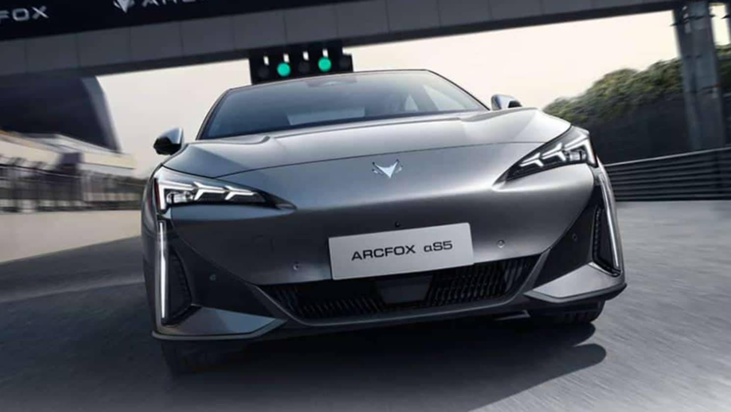 You might know the Chery Omoda 5, GWM Haval H6 and MG ZS but what about the Arcfox Alpha S5, Li ...