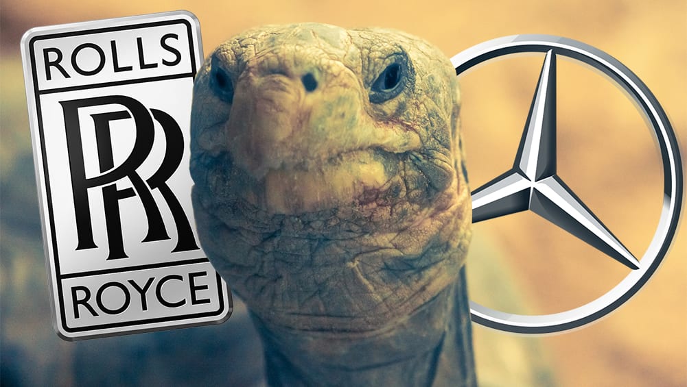 Rolls-Royce and Mercedes are now older than your average Galapagos ...