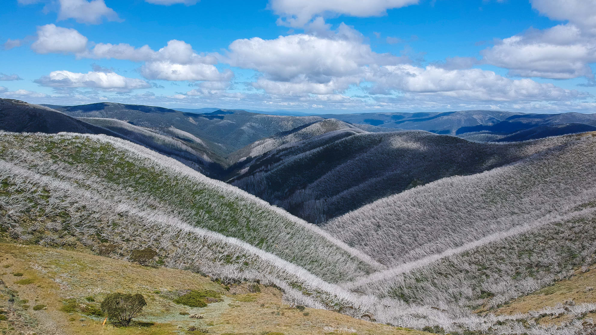 4WD Off-Road Adventure in Victoria's High Country | CarsGuide