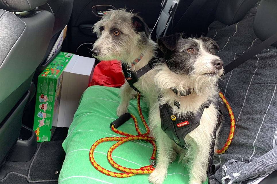 Honda HR-V 2020 review: RS long term | CarsGuide