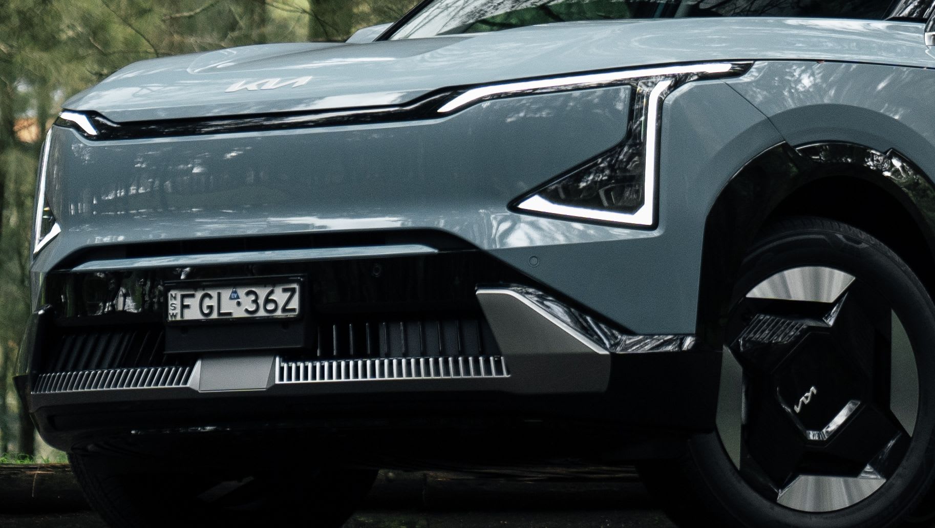 Has Tesla got 'Shane Warne syndrome'? Kia says Elon Musk's brand gets ...